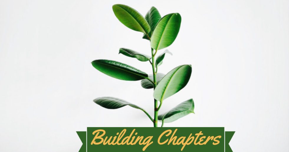Building Chapters (Part 1) - LeTip International