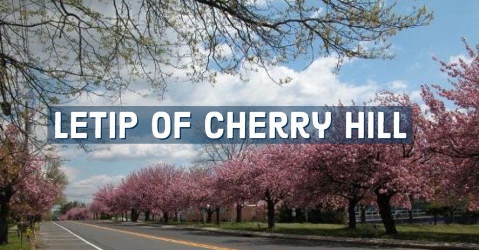 Business Networking Group business referral networking