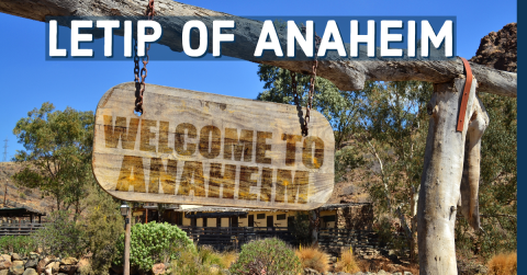 Business Networking Group business referral networking